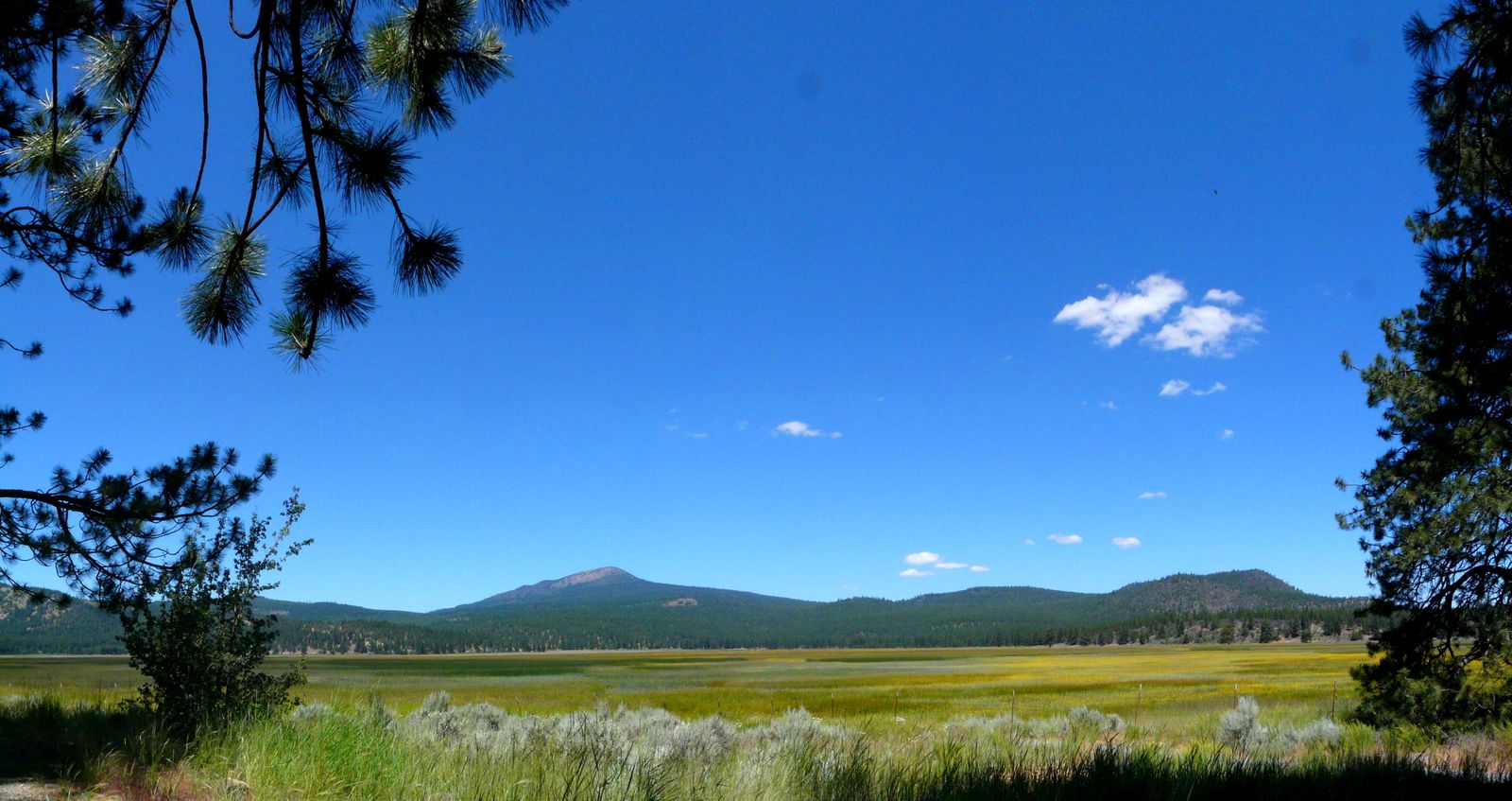 Yreka, CA | Data USA