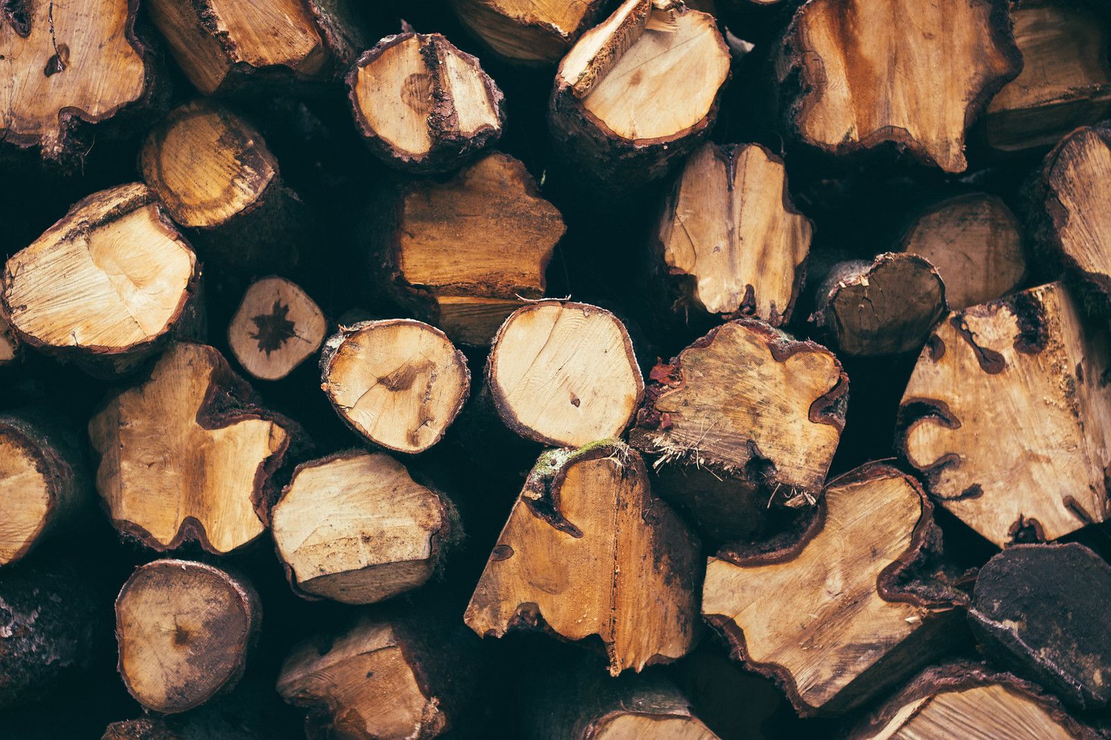 Sawmills & wood preservation | Data USA