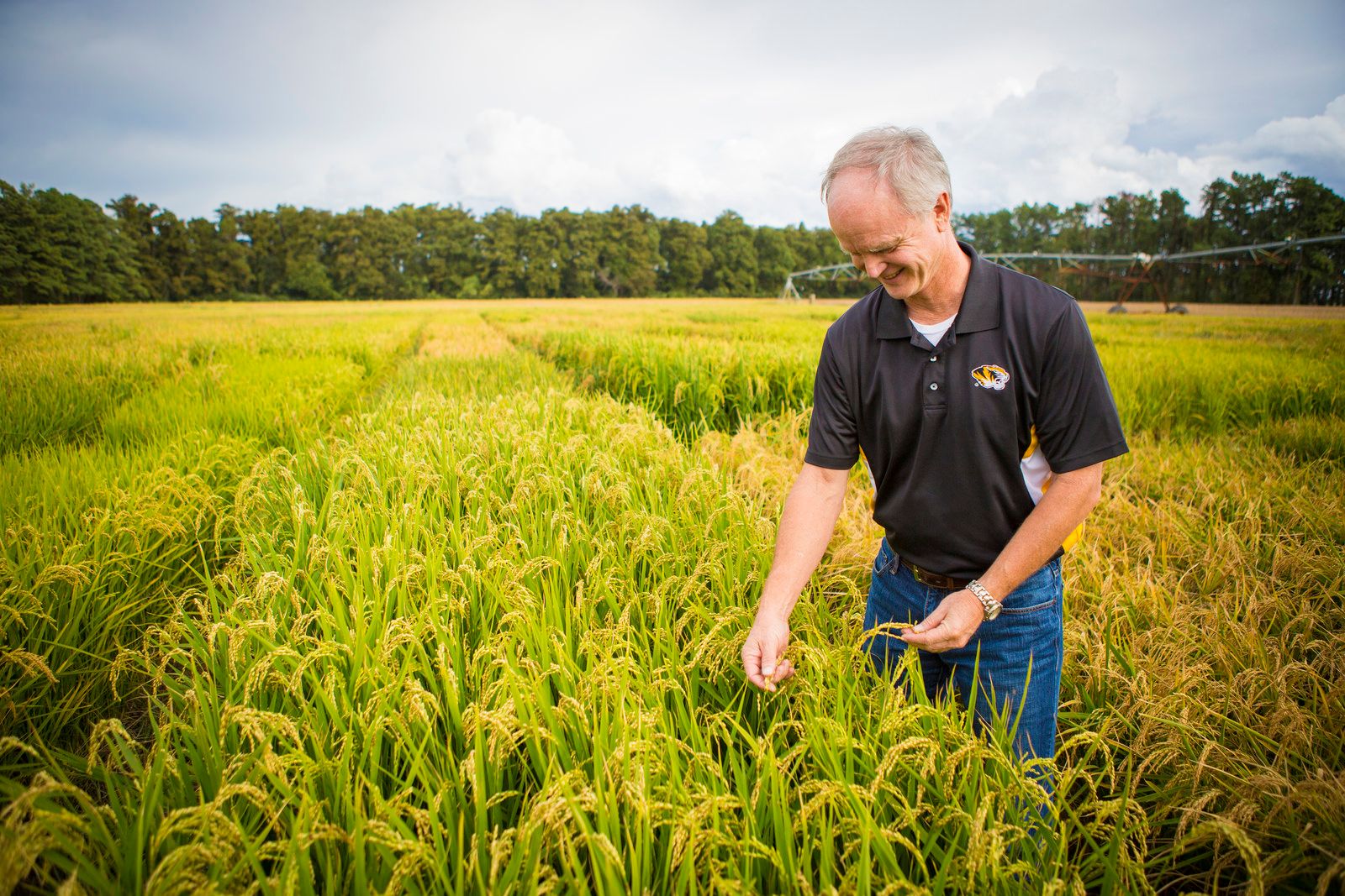 Agricultural & food scientists | Data USA