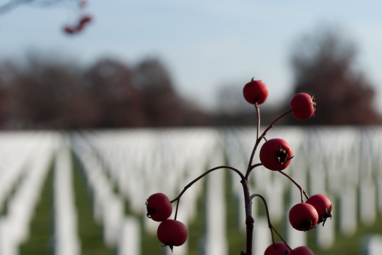 Embalmers & funeral attendants | Data USA