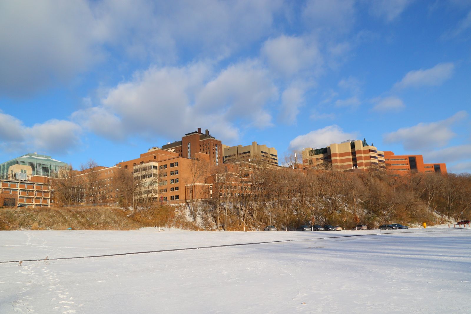 University of Minnesota-Twin Cities | Data USA