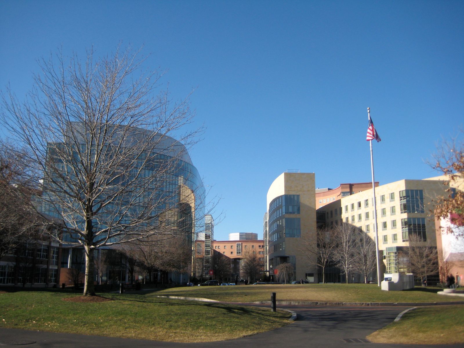 Northeastern University | Data USA