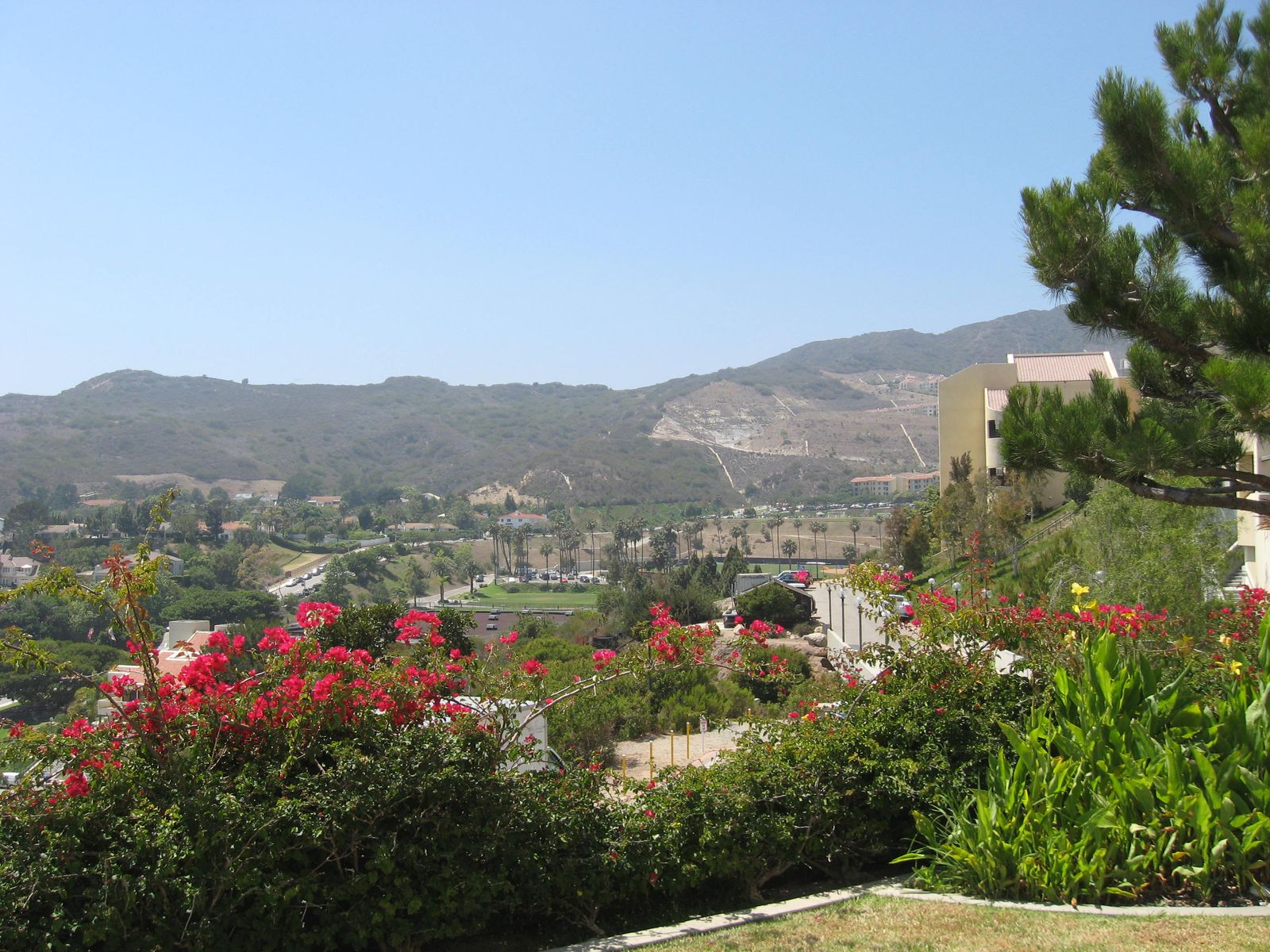 Pepperdine University | Data USA