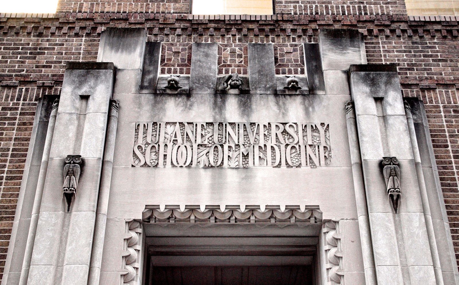 Tulane University of Louisiana | Data USA