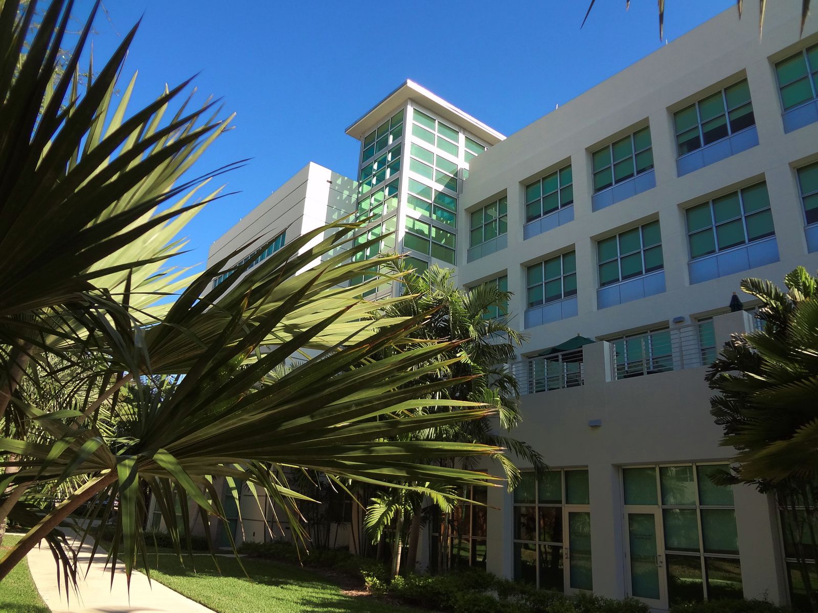 University of Miami | Data USA